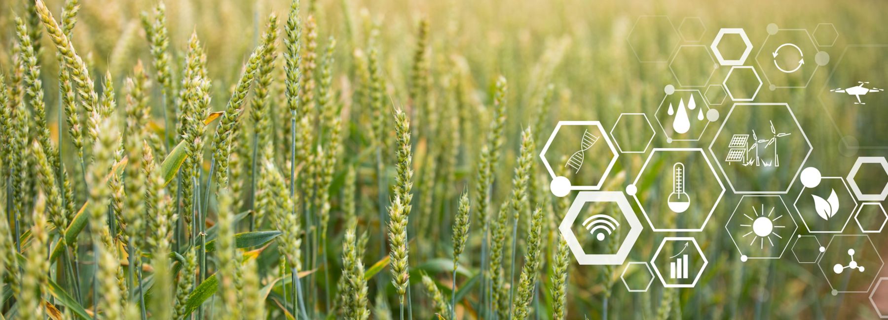 3 ways digital technology can help to feed the world sustainably | DXC ... 3 ways digital technology can help to feed the world sustainably | DXC ...